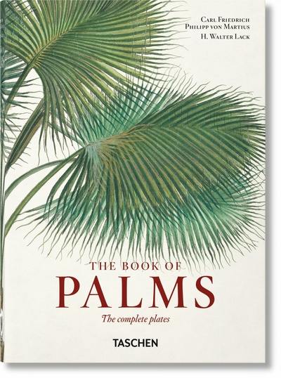 Livre : The book of palms : the complete plates. Das Buch der Palmen ...